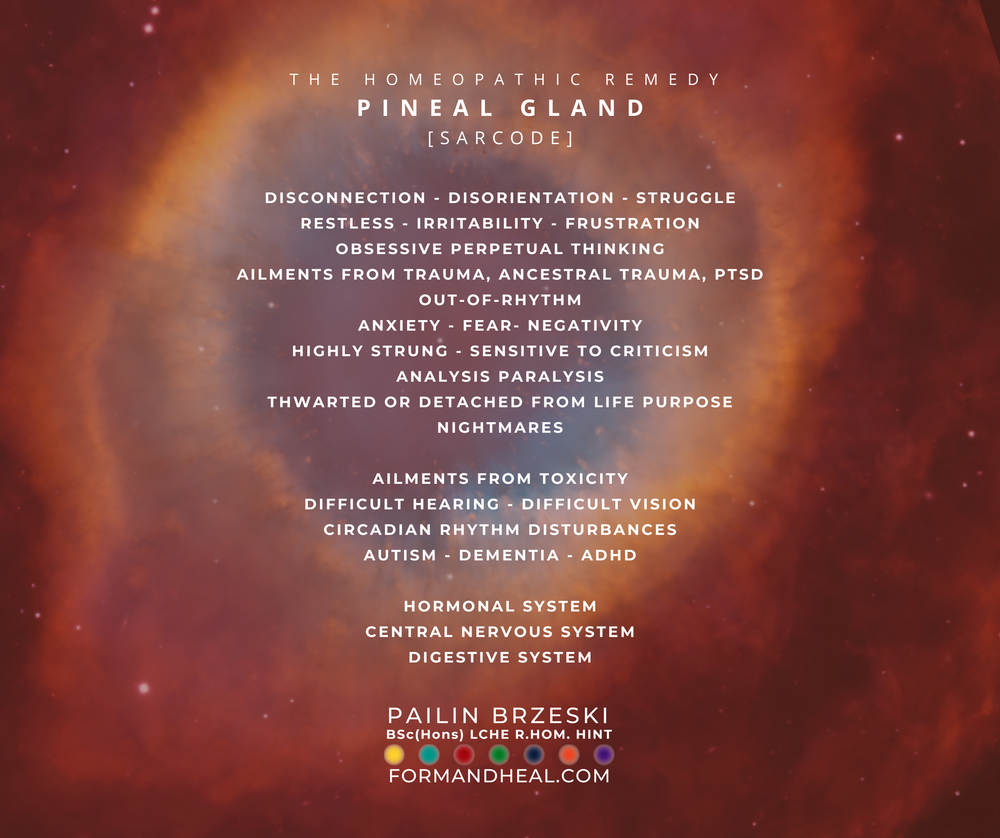 PINEAL GLAND [Sarcode]