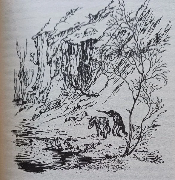 'The Chronicles of Narnia' by C.S Lewis - Illustrations by Pauline ...