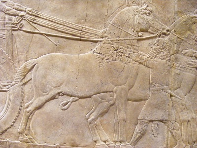 The Arabian — Joy V Spicer