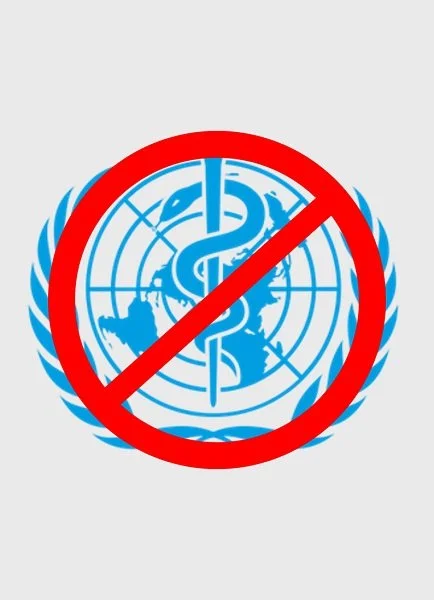 Who Elected the W.H.O.? — Joy V Spicer