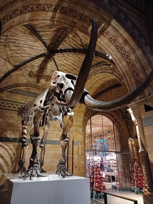 Natural History Museum Exhibition - Titanosaur: Life As The Biggest ...