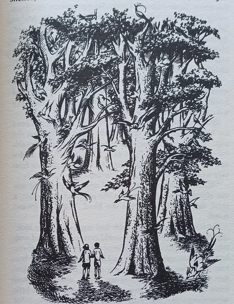 'The Chronicles of Narnia' by C.S Lewis - Illustrations by Pauline ...