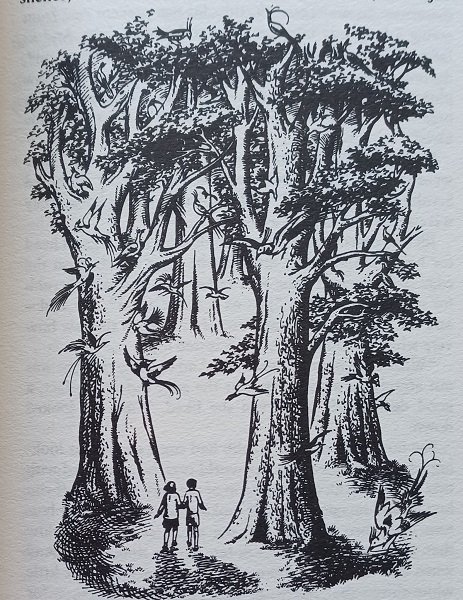 'The Chronicles of Narnia' by C.S Lewis - Illustrations by Pauline ...