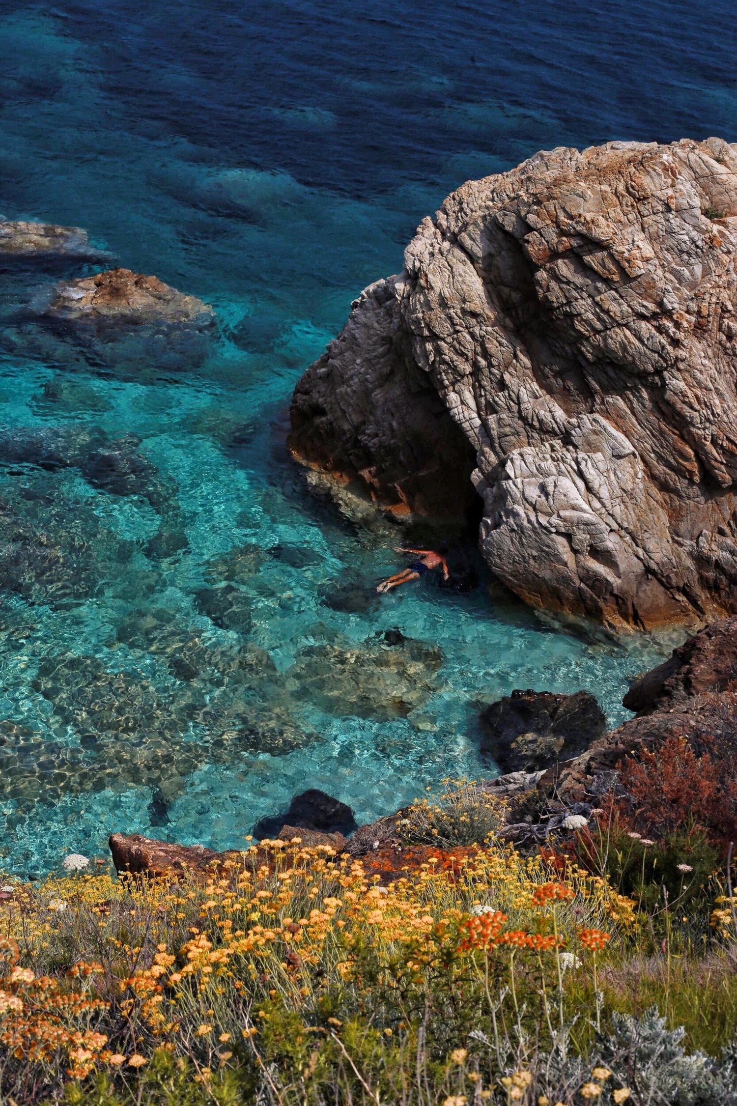 Marcella Wong Photography