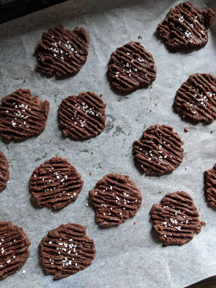 Recipe for the Ultimate Cocoa Biscuits — Studio 70