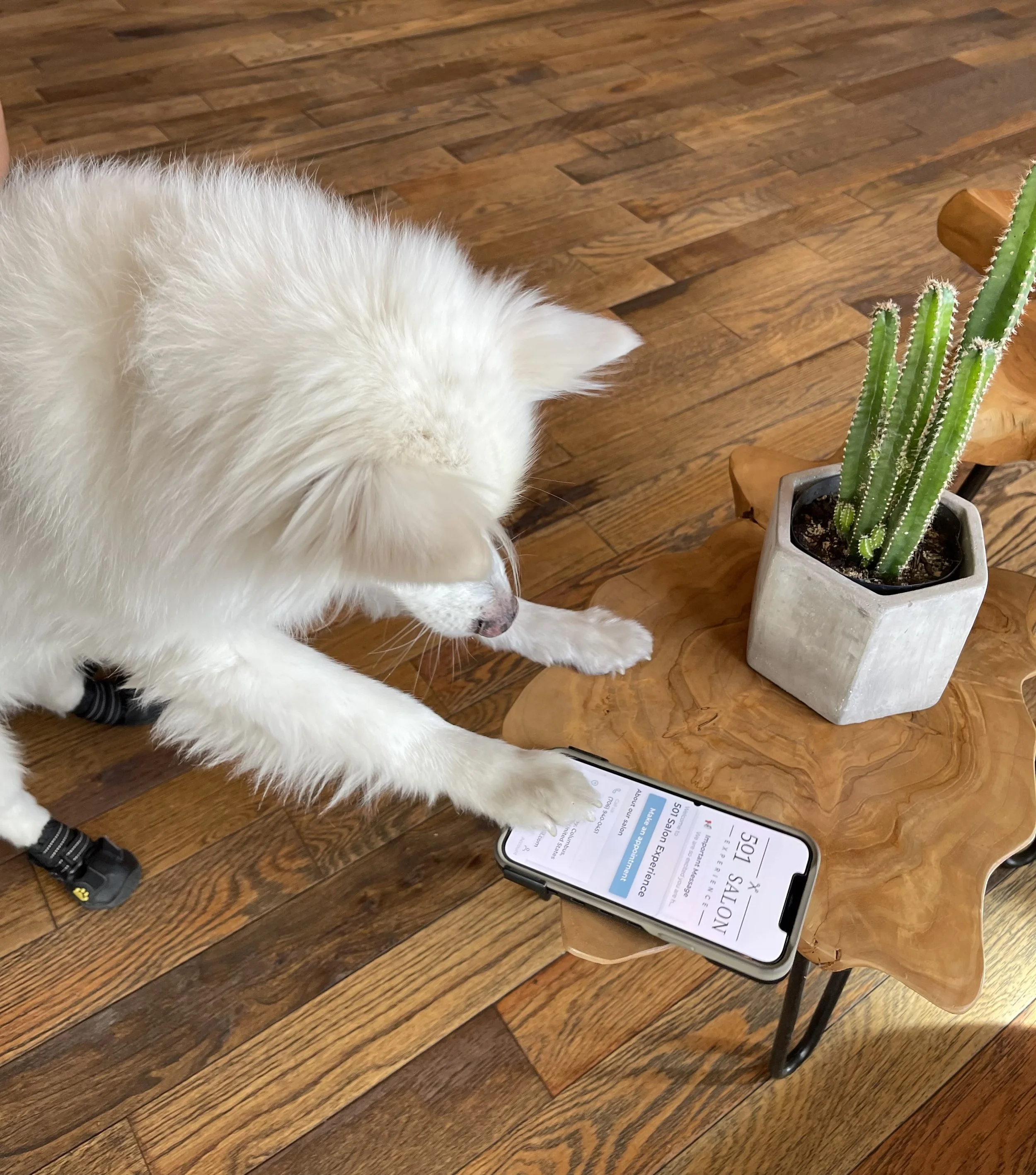 5o1 Salon Experience