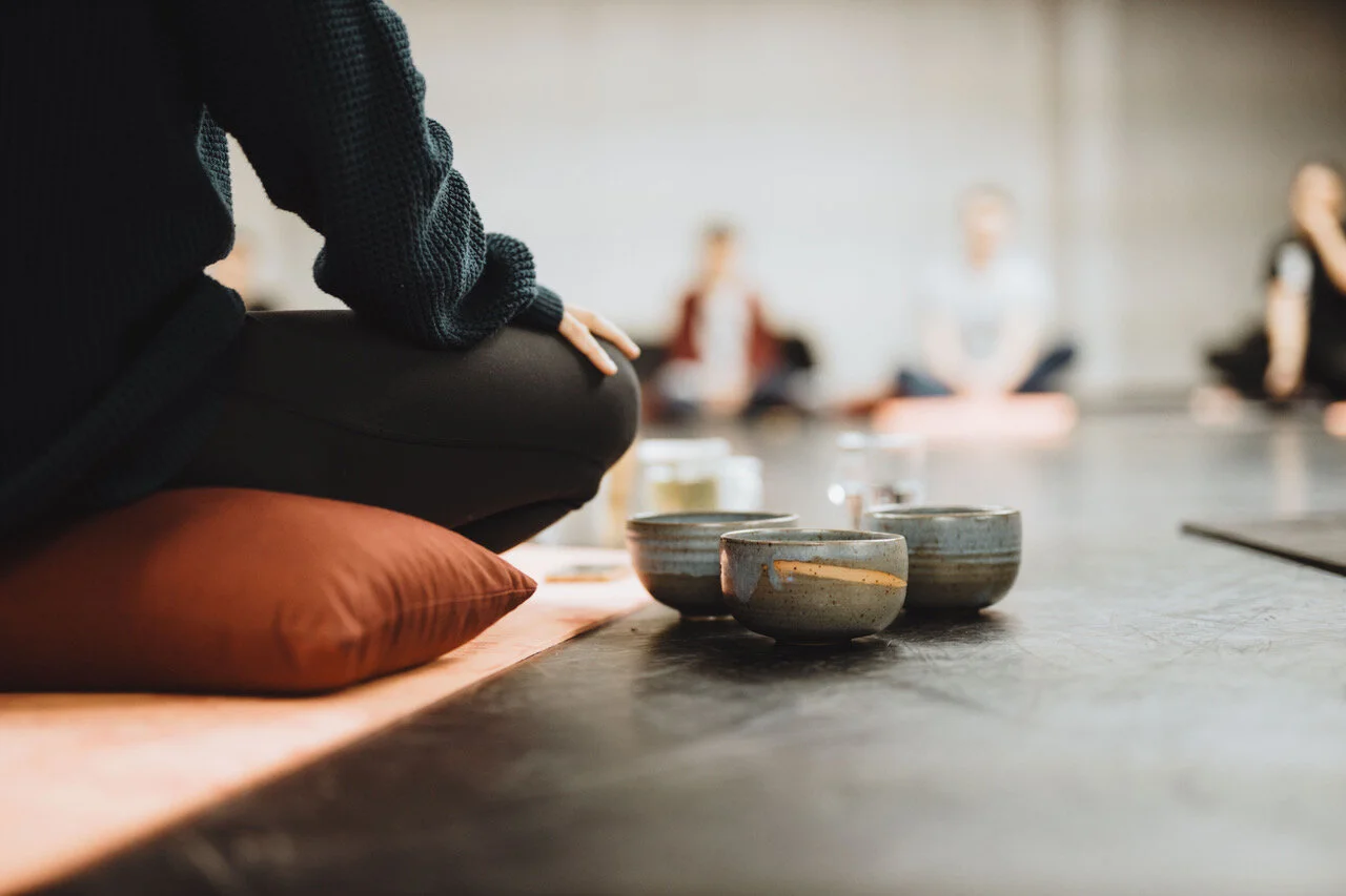 Budokon UK — Budokon Mixed Movement Arts University by Cameron Shayne