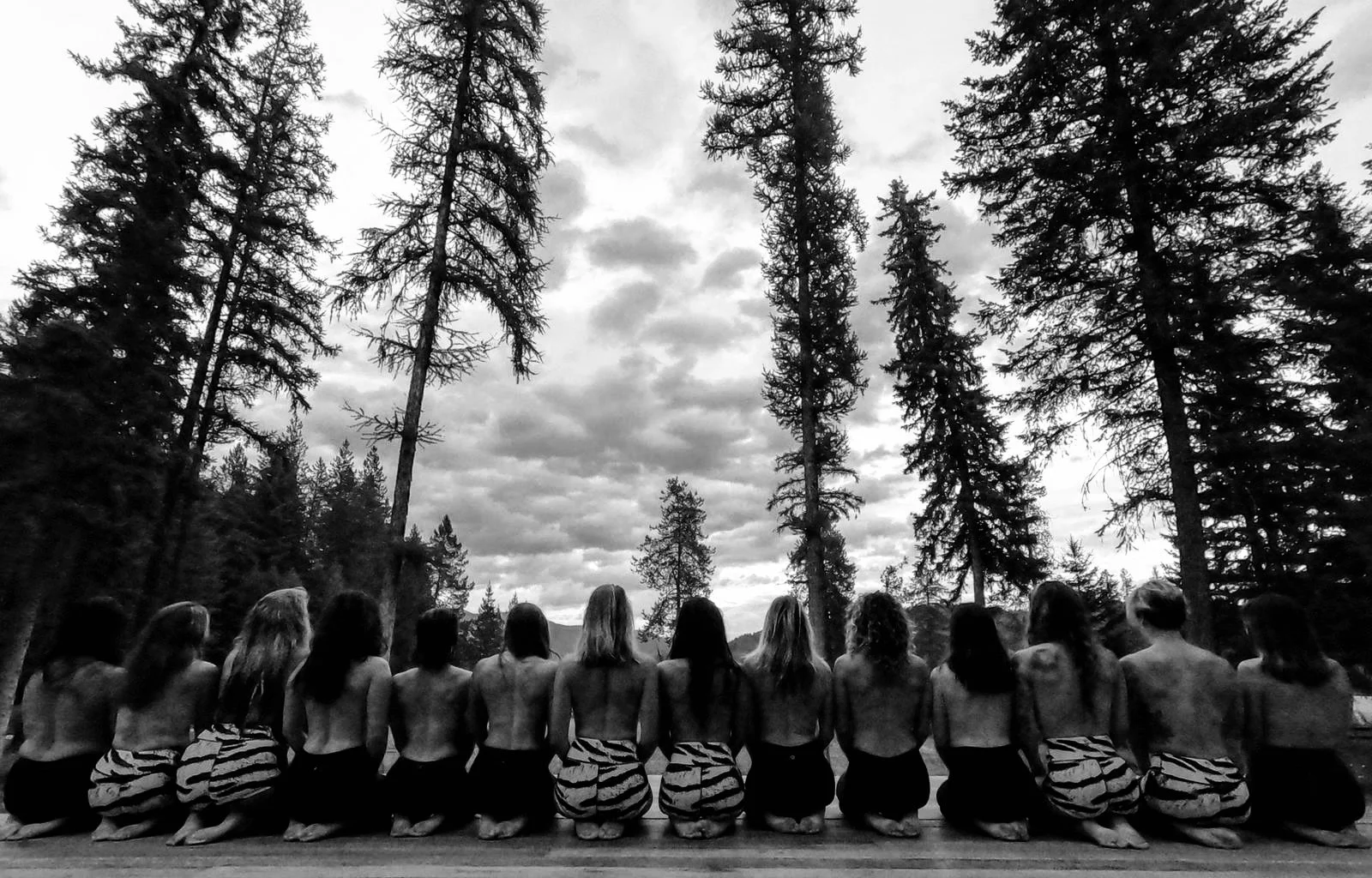 Melayne Shayne — Budokon Mixed Movement Arts University by Cameron Shayne