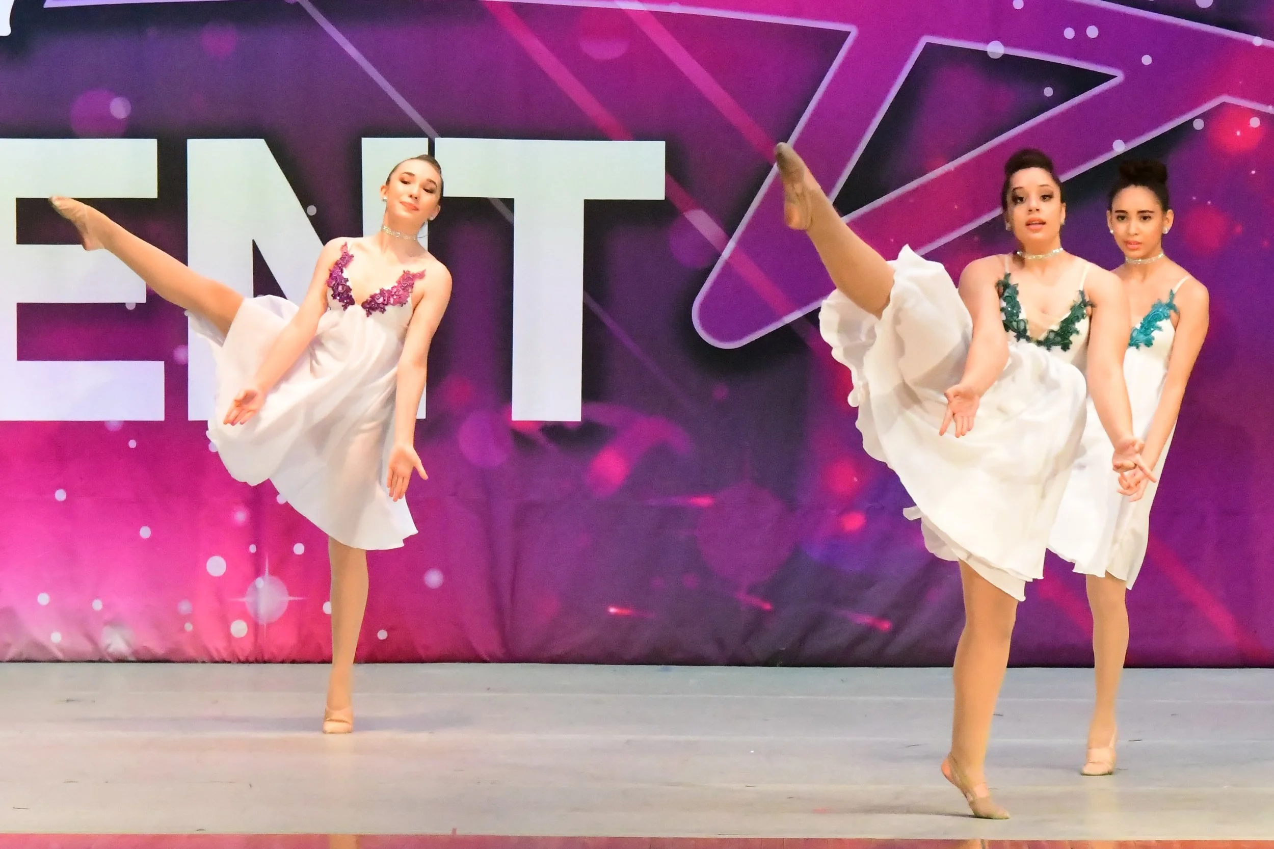 Gallery — Monarch Conservatory