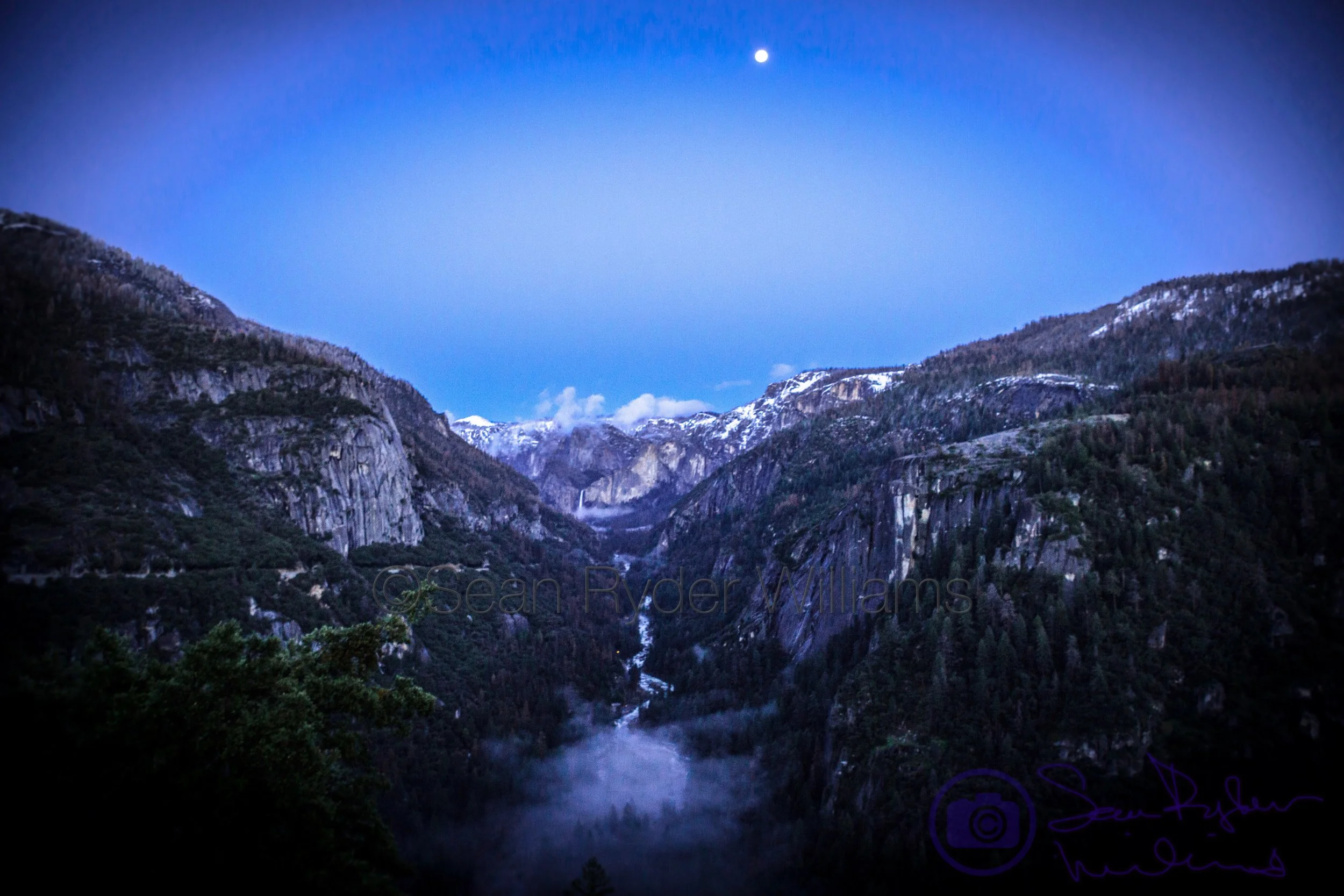 sean ryder williams — Sean Ryder Williams