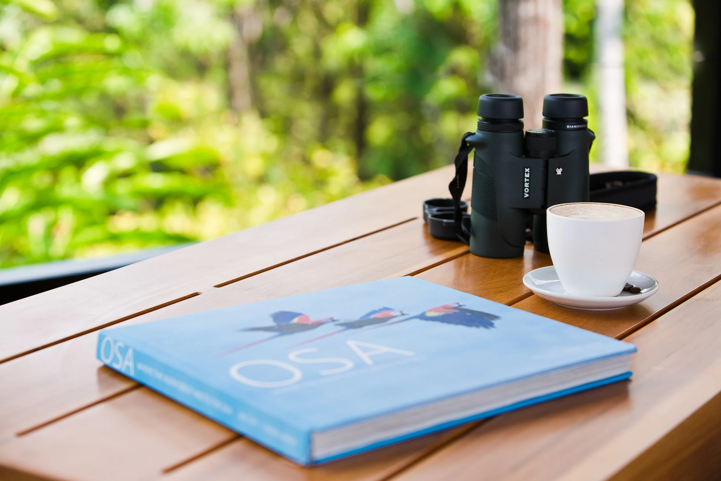 Central and Southern Pacific Lowlands — Costa Rica Outdoors & Waves