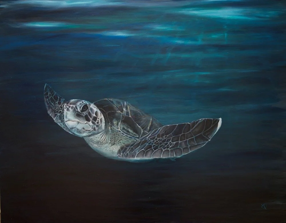 Marine Wildlife paintings — Alexandra Telgmann – Fine Art