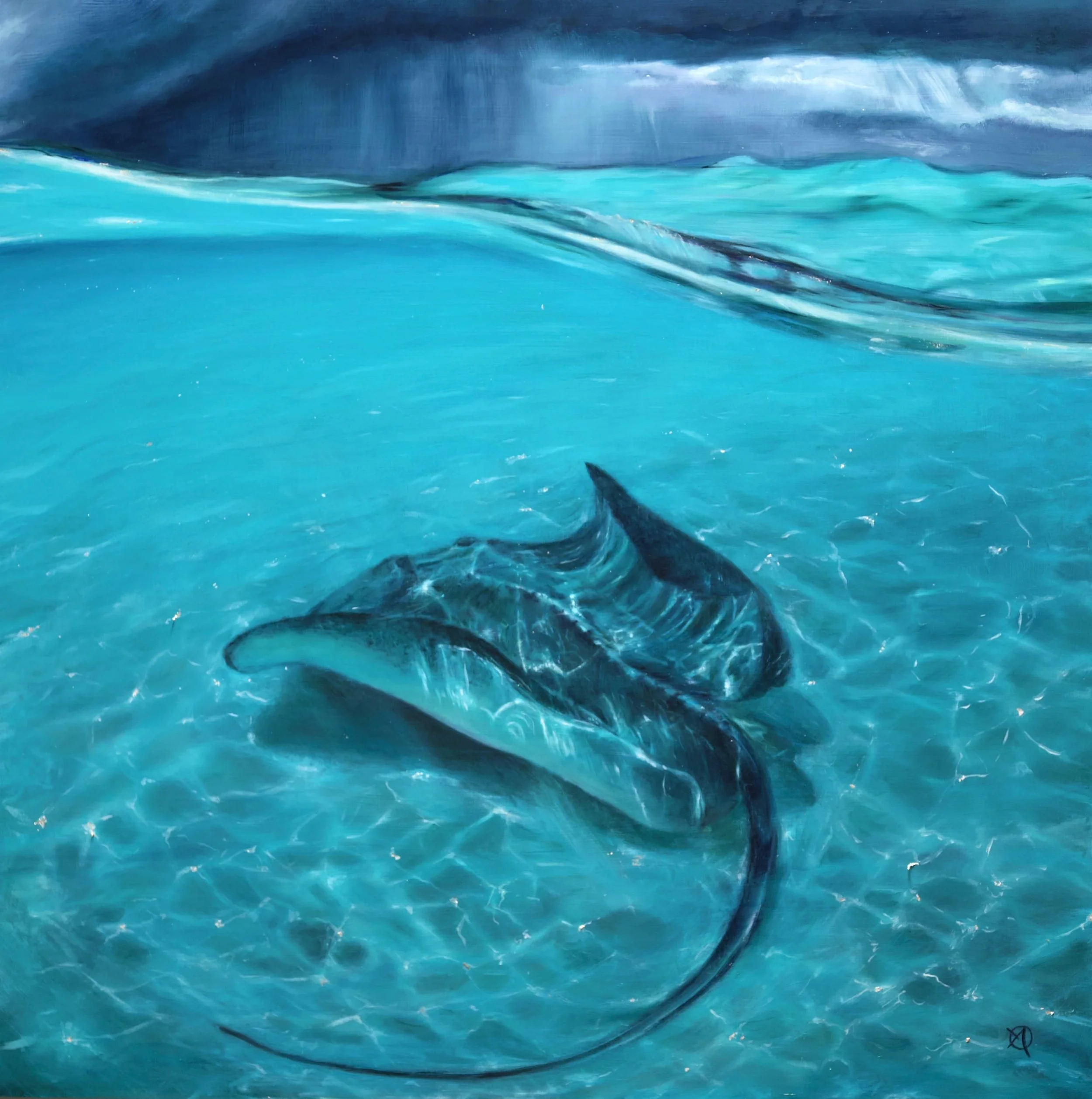 Marine Wildlife paintings — Alexandra Telgmann – Fine Art