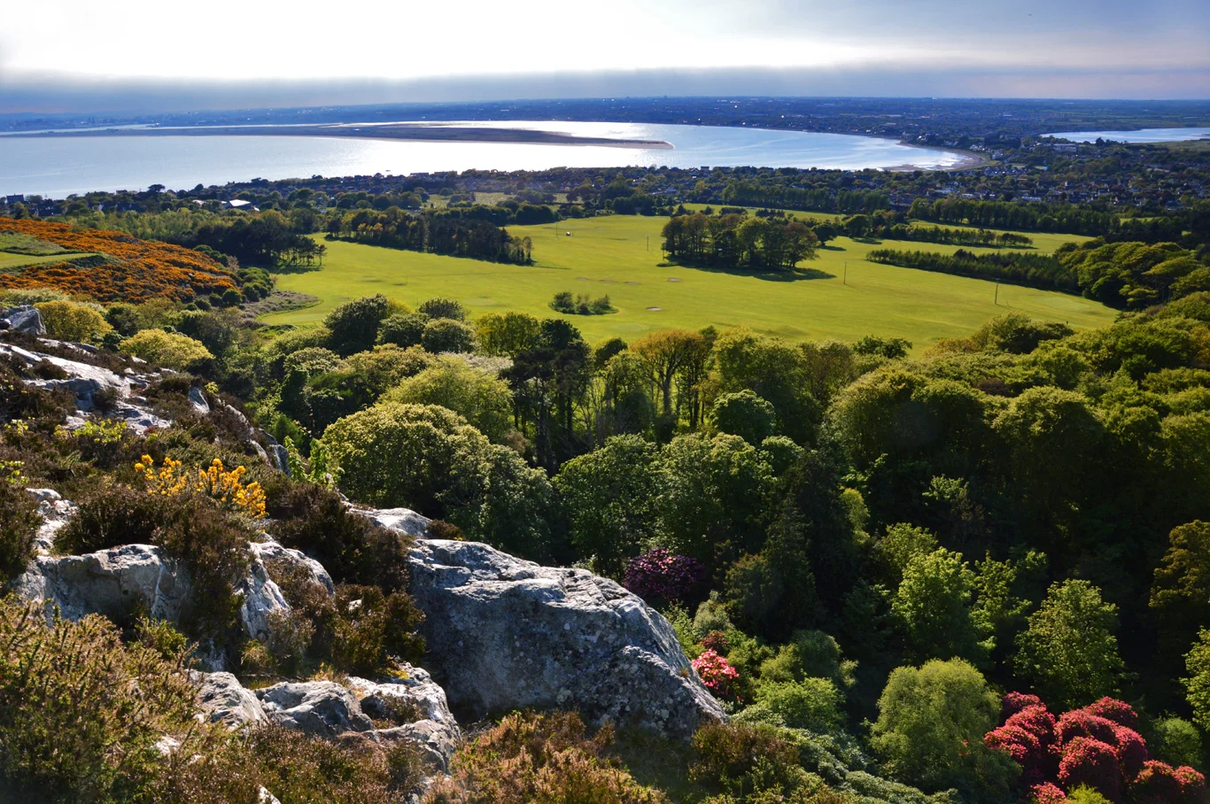 Wild Rhododendron Gardens in Howth, Ireland — Adventurous Travels ...