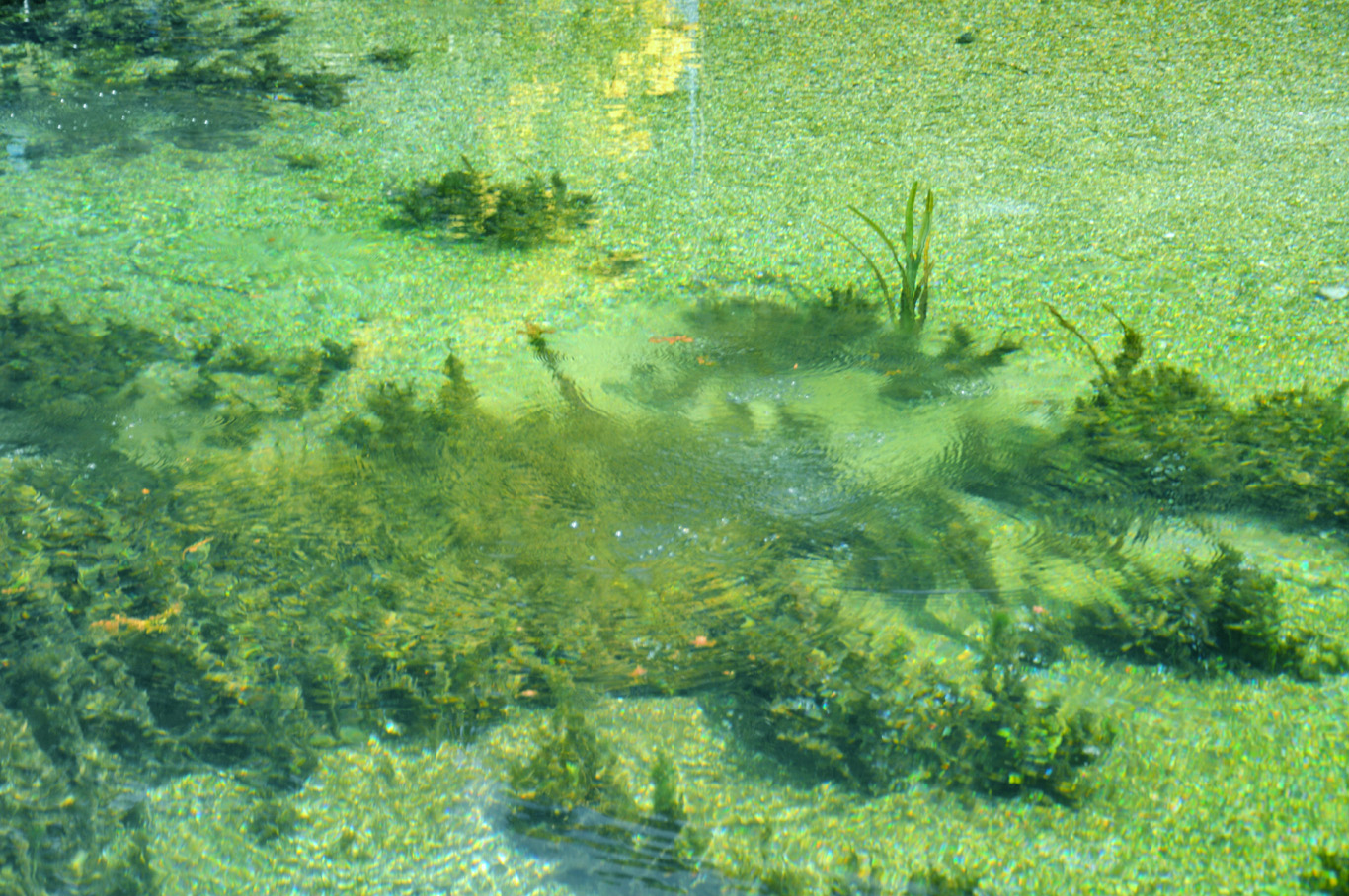 Syri i Kalter - The Blue Eye Spring in Albania — Adventurous Travels ...