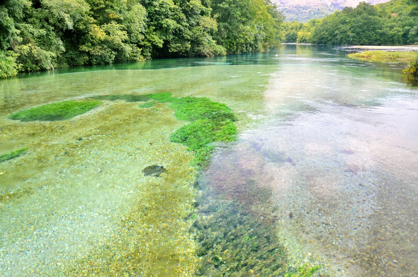 Syri i Kalter - The Blue Eye Spring in Albania — Adventurous Travels ...