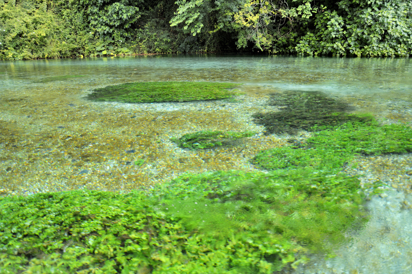 Syri i Kalter - The Blue Eye Spring in Albania — Adventurous Travels ...