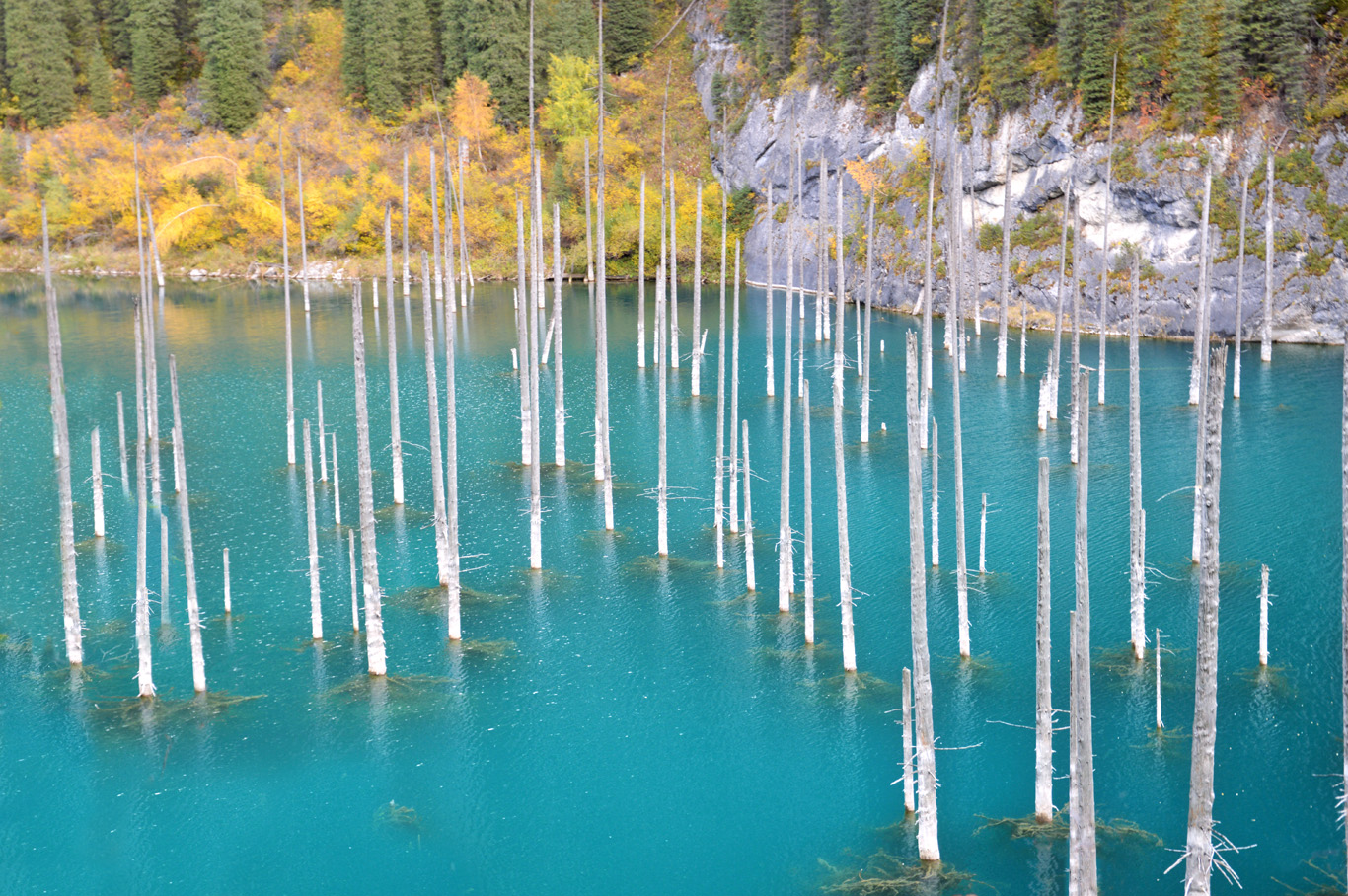 Lake Kaindy, Kazakhstan - One Of The Most Unique Lakes In The World ...