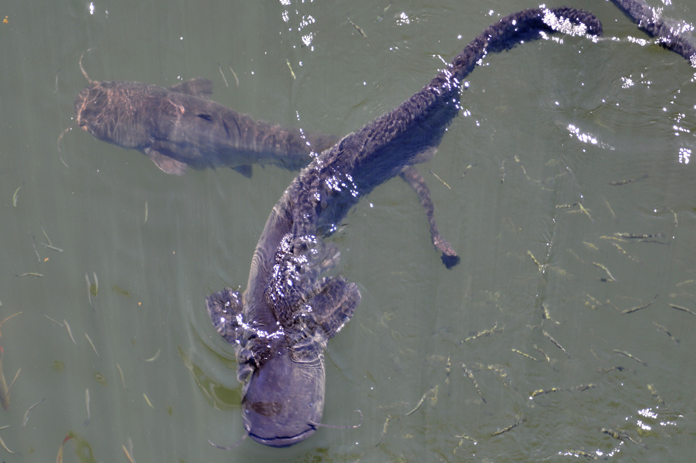 Chernobyl, Ukraine - 30 Years After The Disaster — Adventurous Travels ...