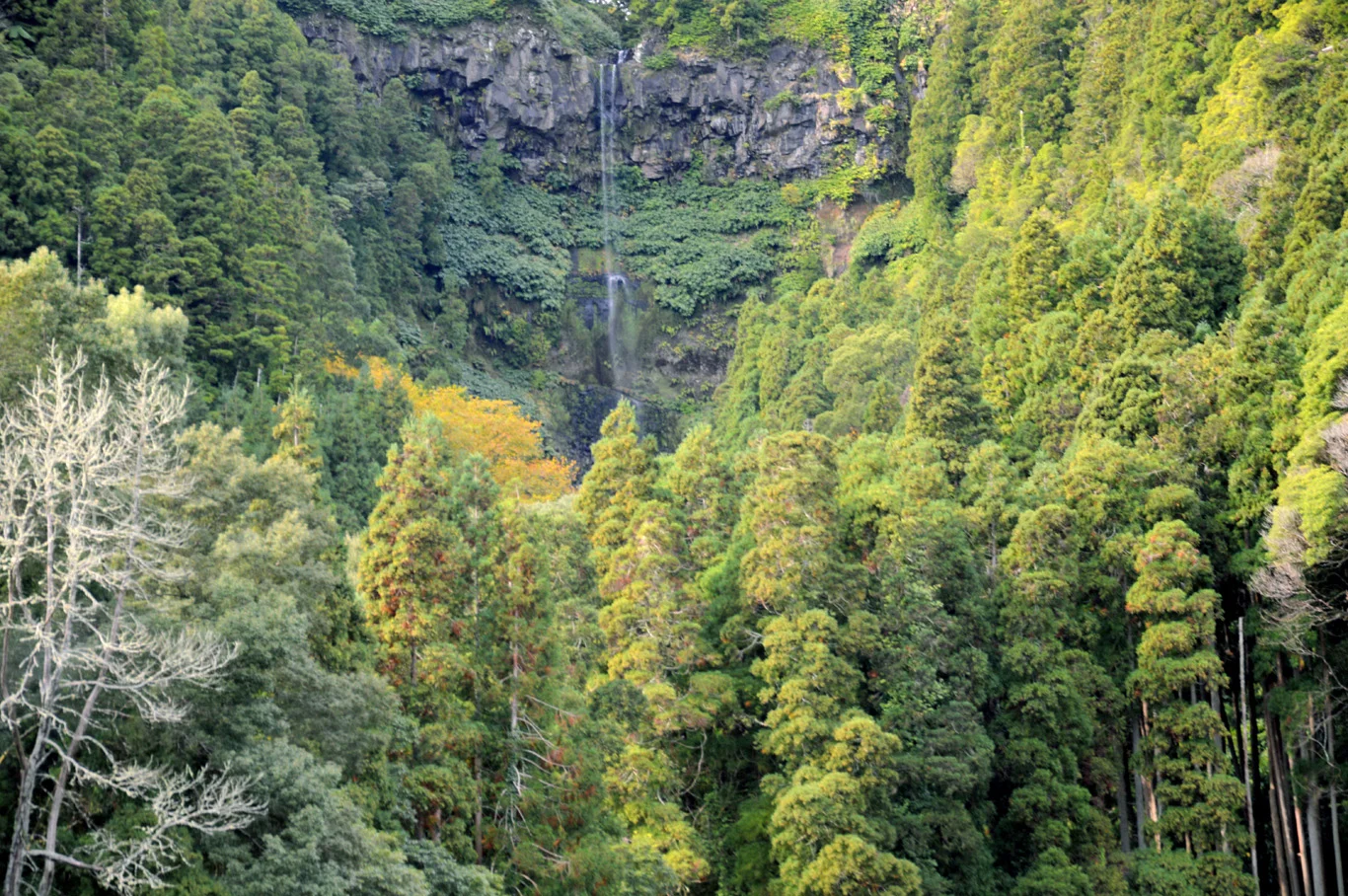 Furnas, Azores, Portugal - The Village, The Crater Lake and The Hot ...