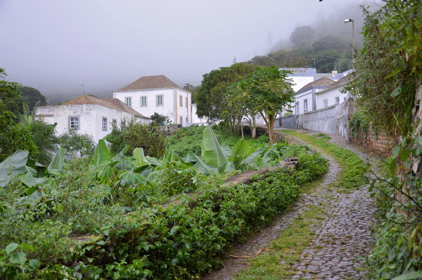 Brava, Cape Verde - The Greenest and One of the Best Islands of the ...