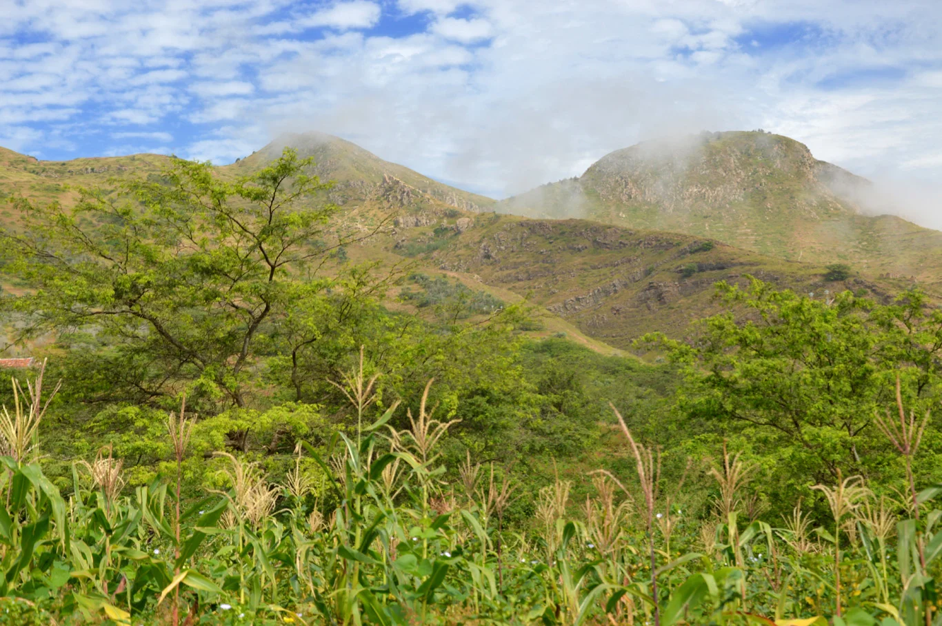 Brava, Cape Verde - The Greenest and One of the Best Islands of the ...