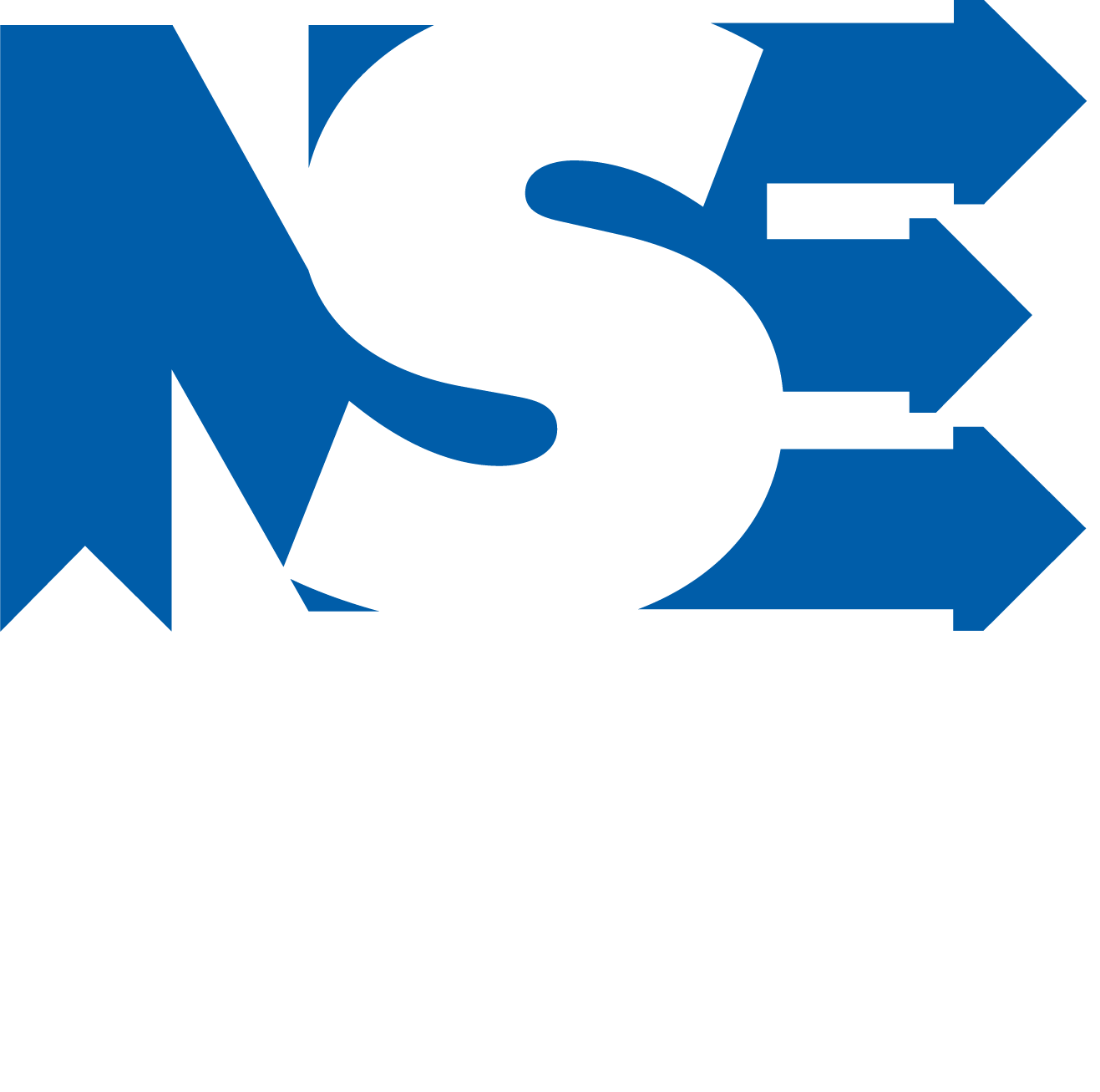 Nse Logo Png