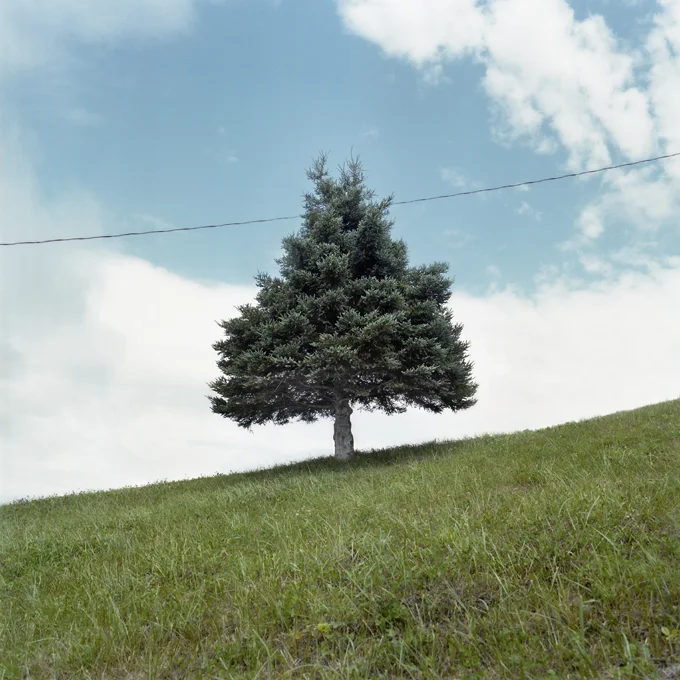 Vera Saltzman — Slate Fine Art Gallery