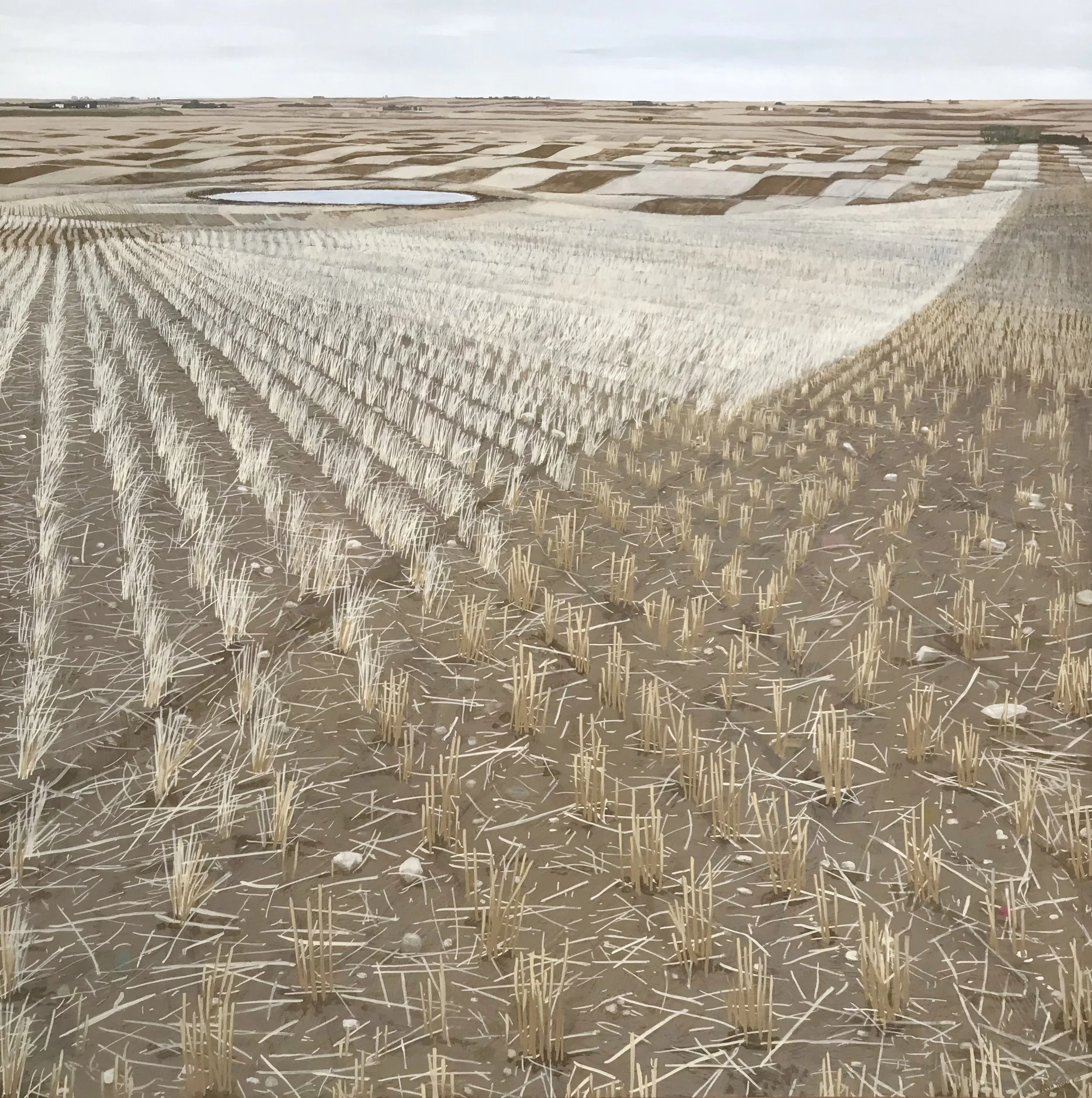 Peter Tucker — Slate Fine Art Gallery