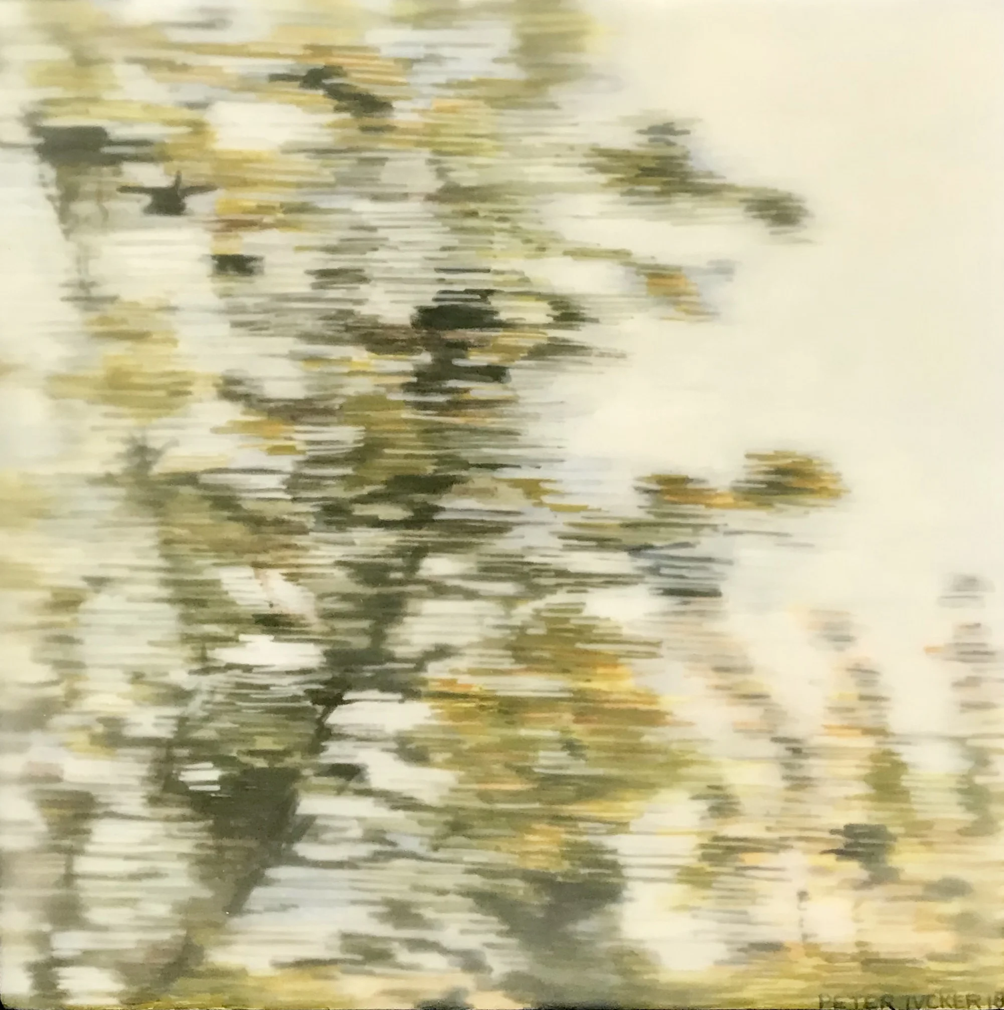 Peter Tucker — Slate Fine Art Gallery