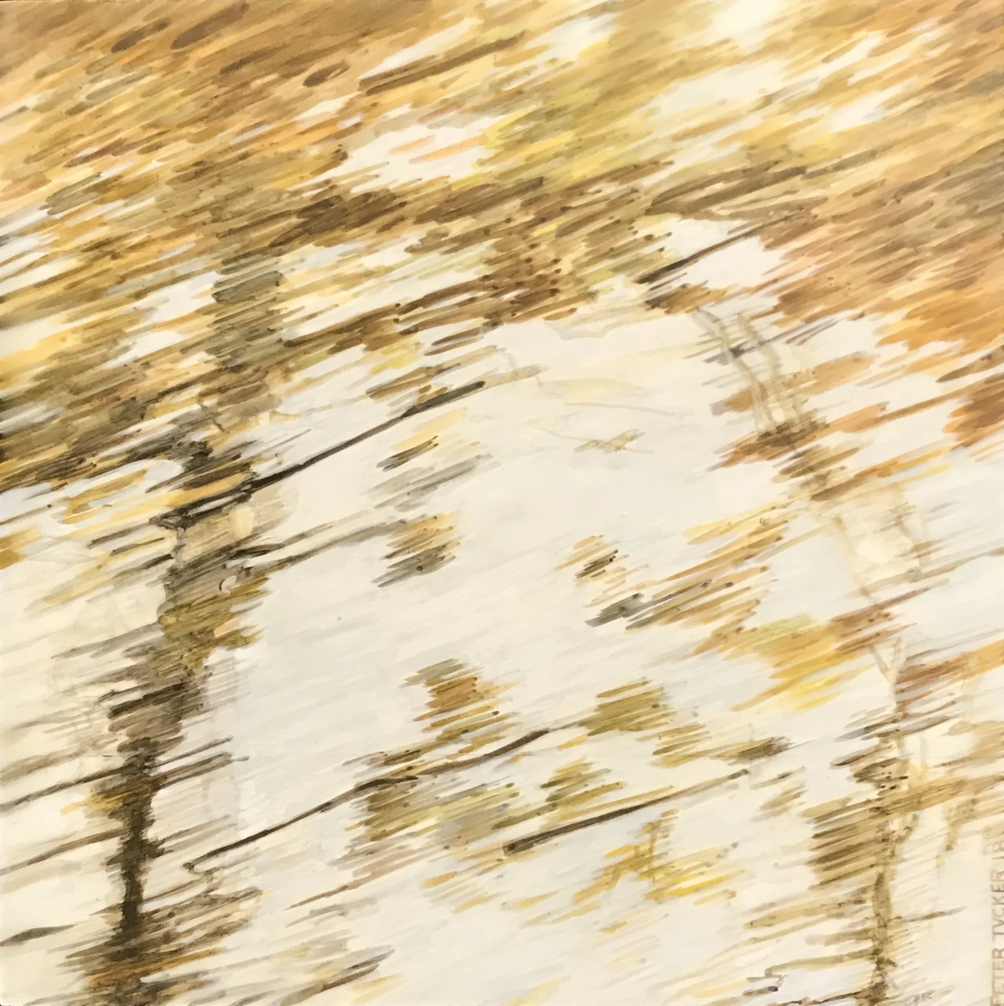 Peter Tucker — Slate Fine Art Gallery