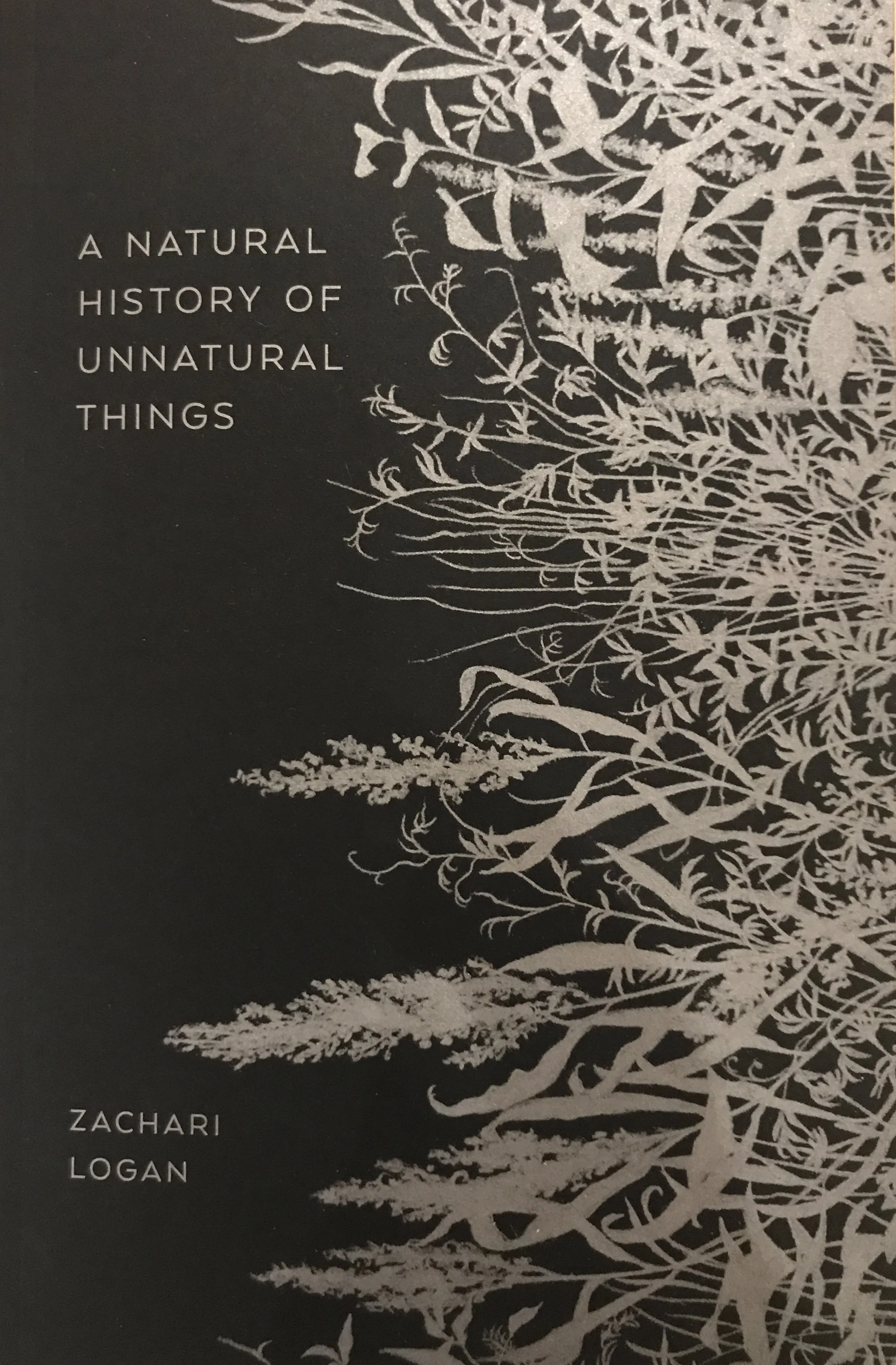 Zachari Logan — Slate Fine Art Gallery