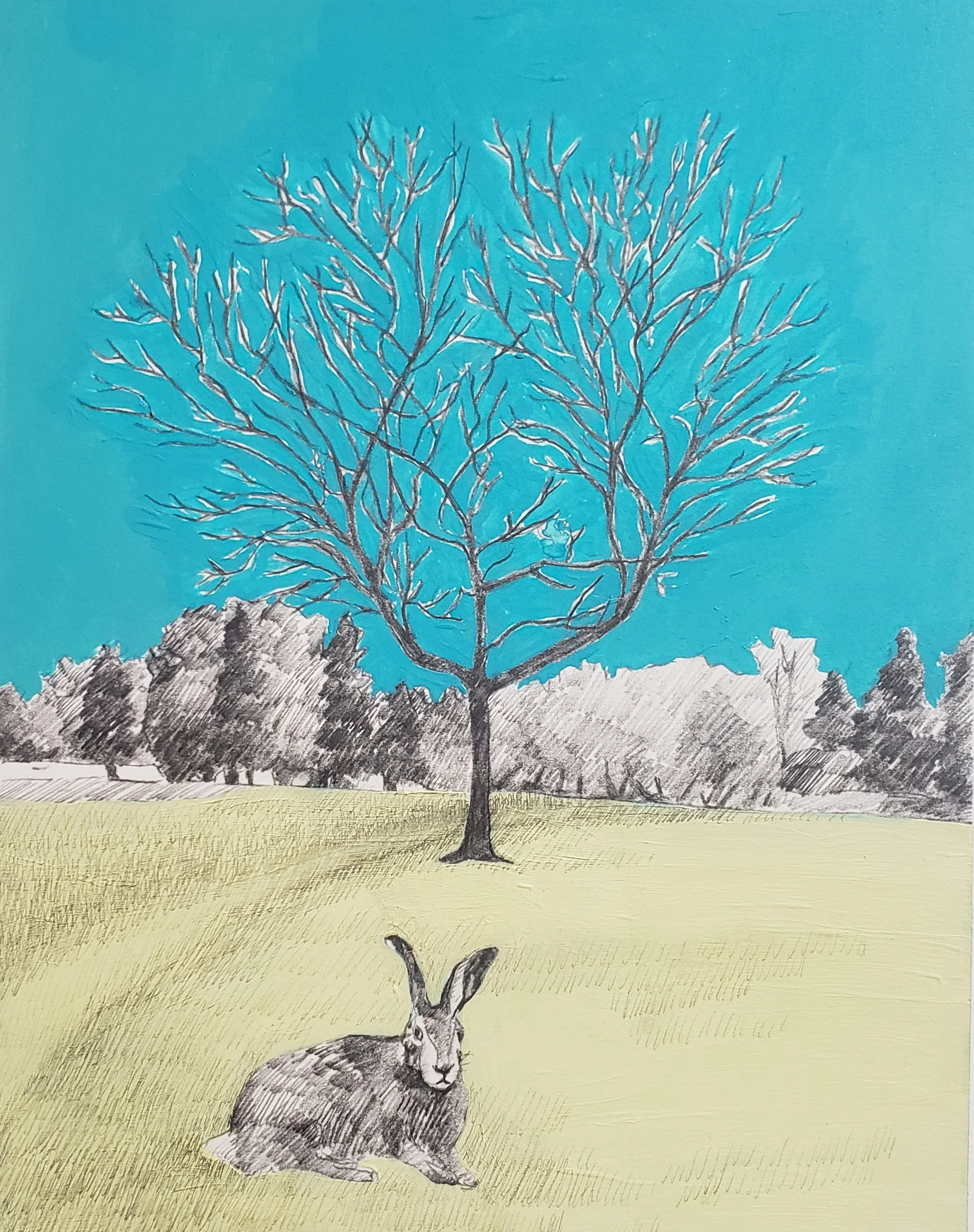 Belinda Harrow — Slate Fine Art Gallery