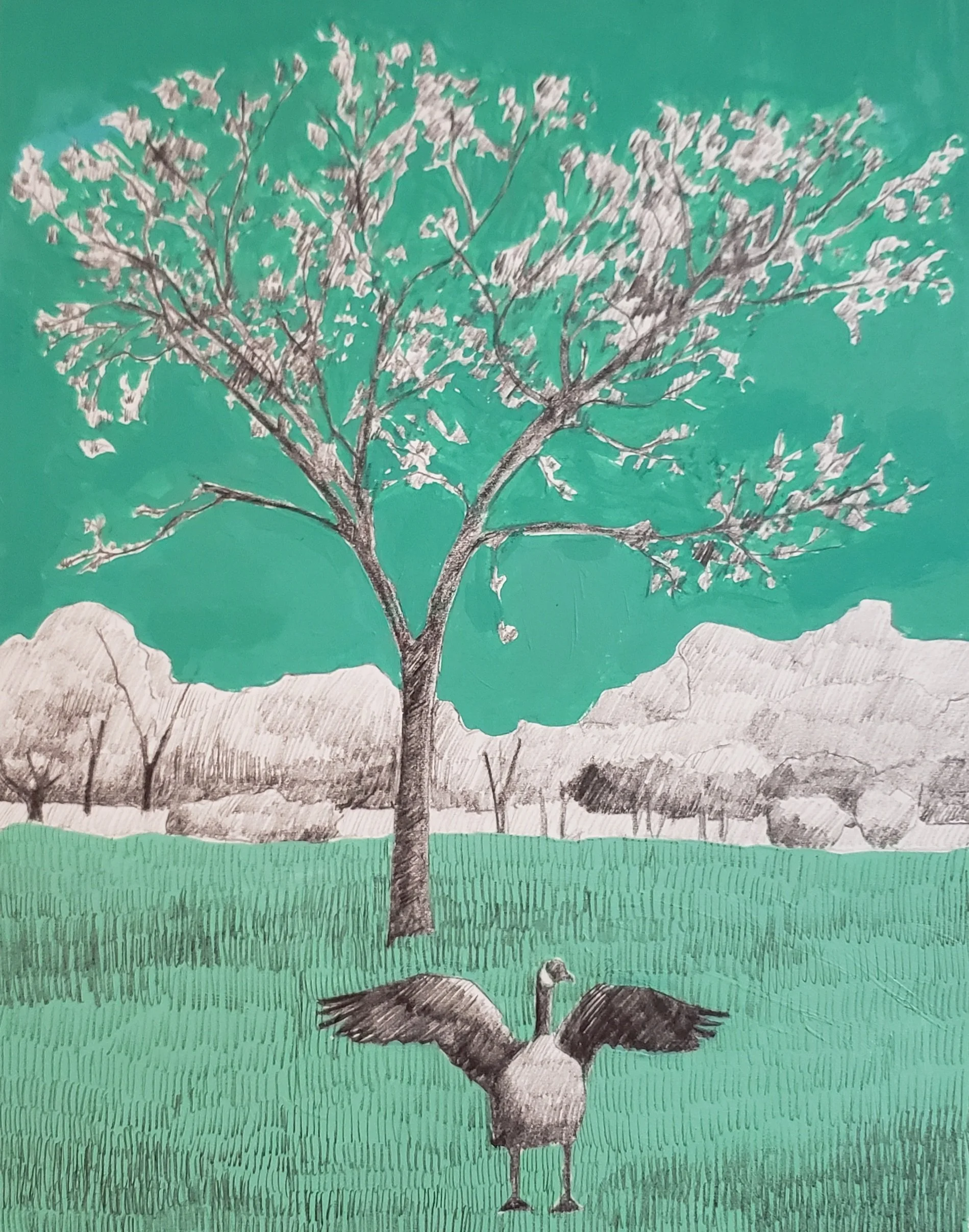 Belinda Harrow — Slate Fine Art Gallery