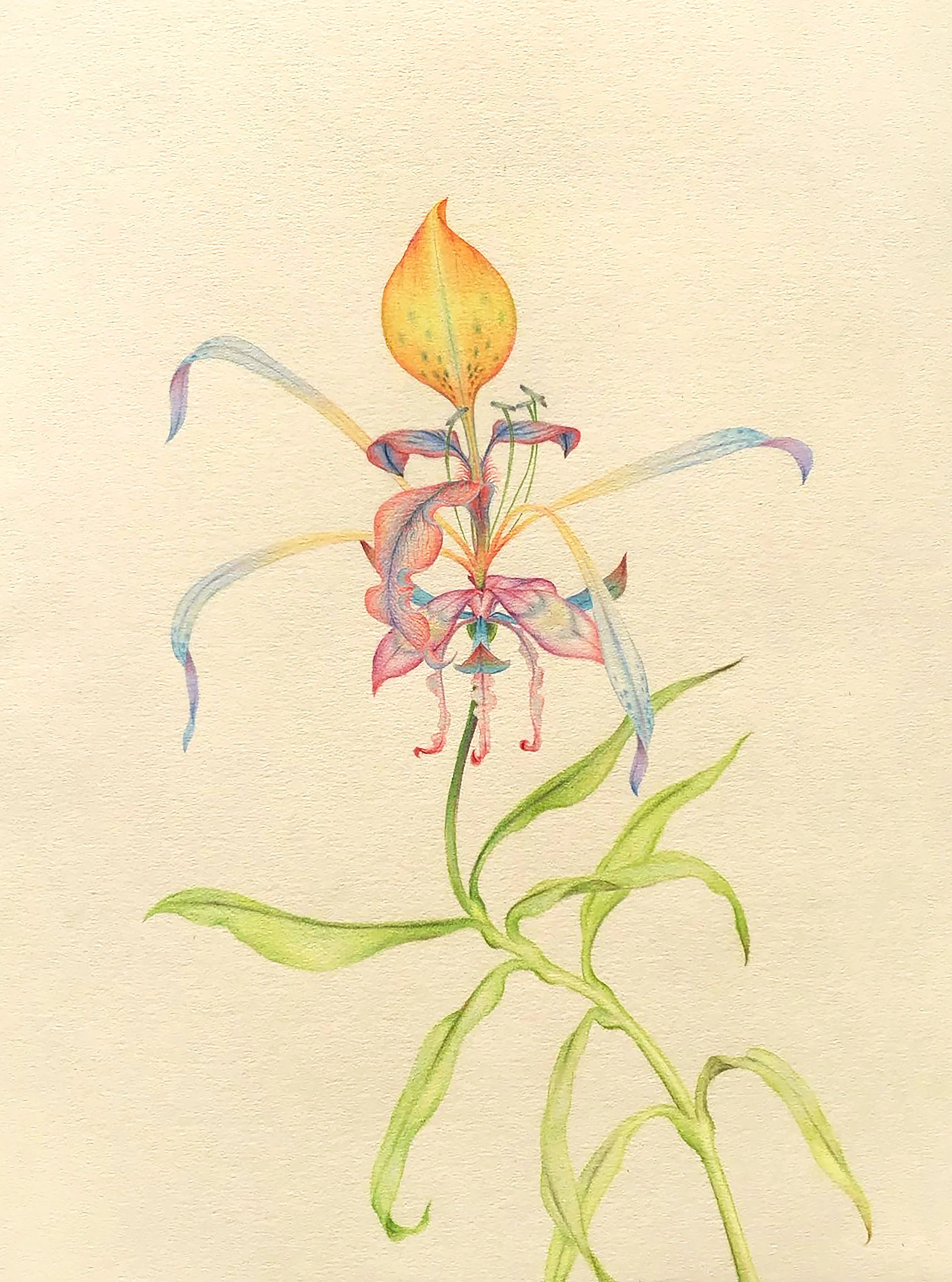 Fantasy Flower Drawings