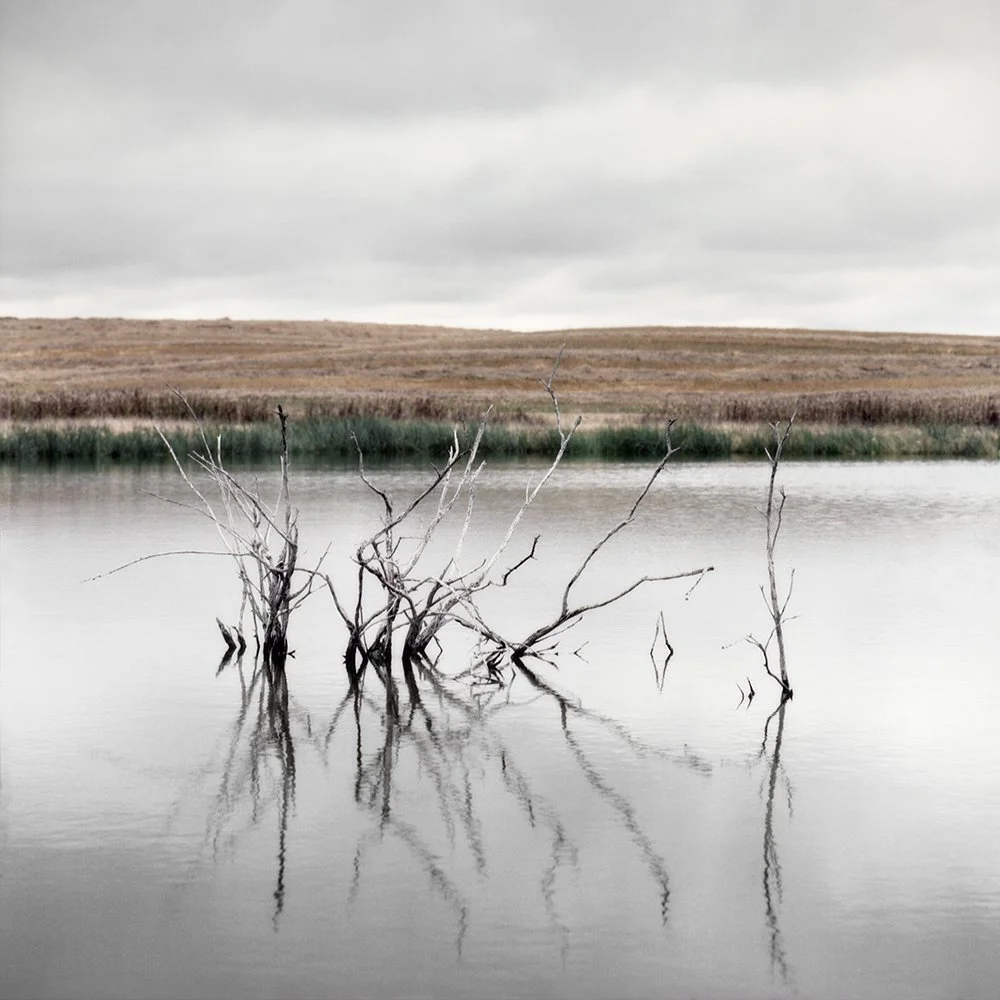 Vera Saltzman — Slate Fine Art Gallery Vera Saltzman — Slate Fine Art Gallery