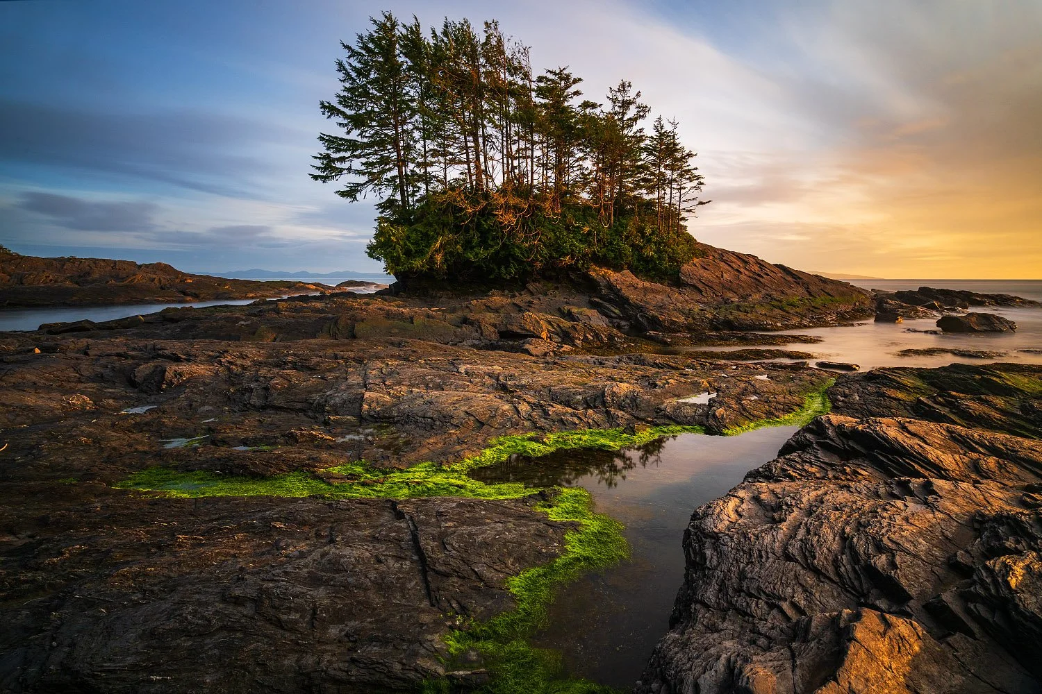 Dave Mantel Photography