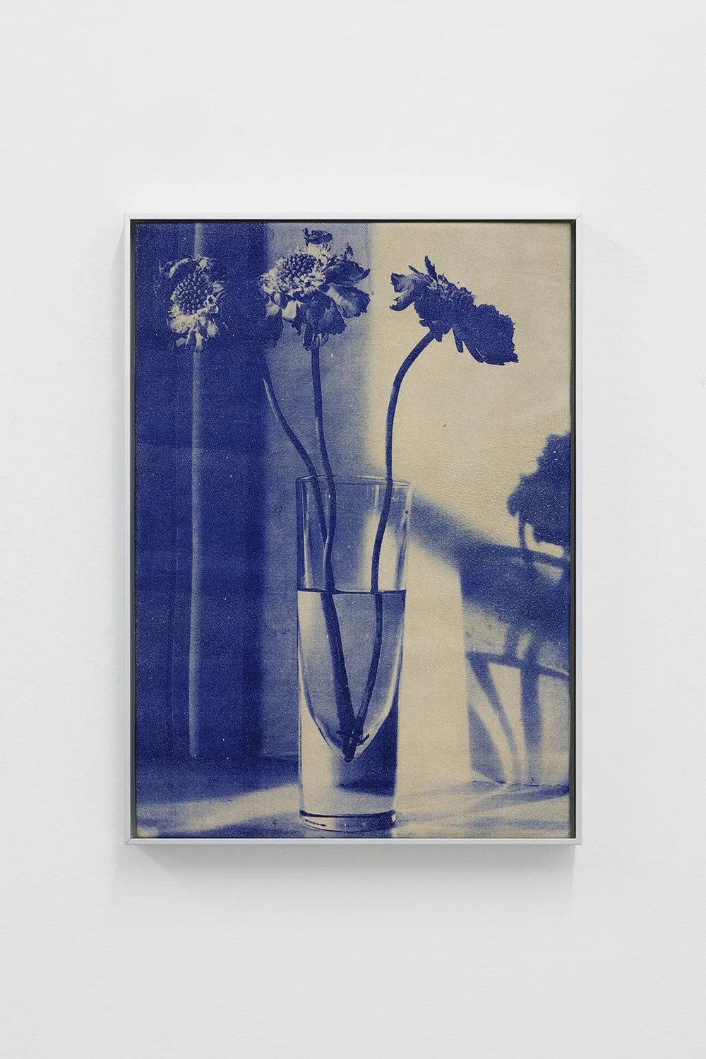 2022 - Poppy Jones | Cutting Shade — Mrs.