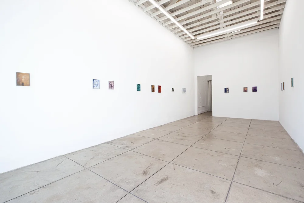 2022 - Poppy Jones | Cutting Shade — Mrs.