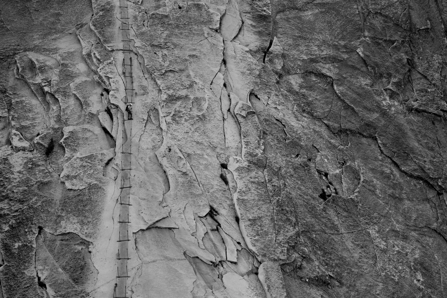 Jacob Raab - Trumpet / Photo / Adventure