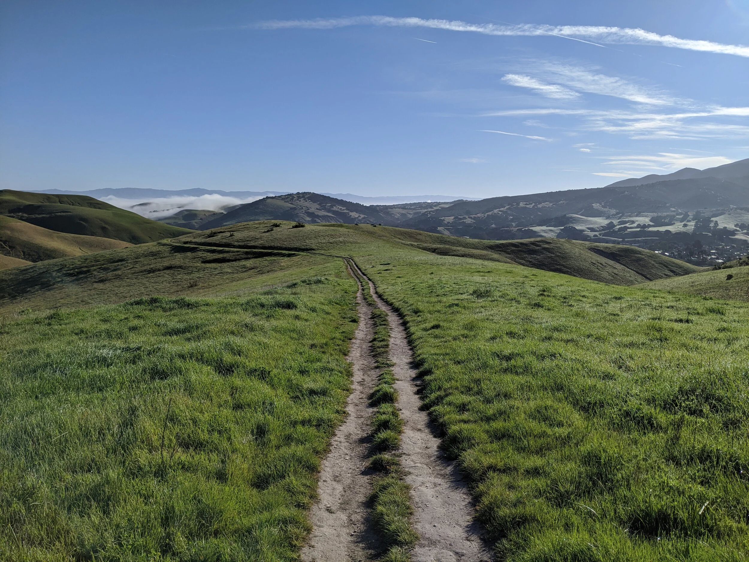 Adam's Work (Genesis 2:15) — Nate Holdridge