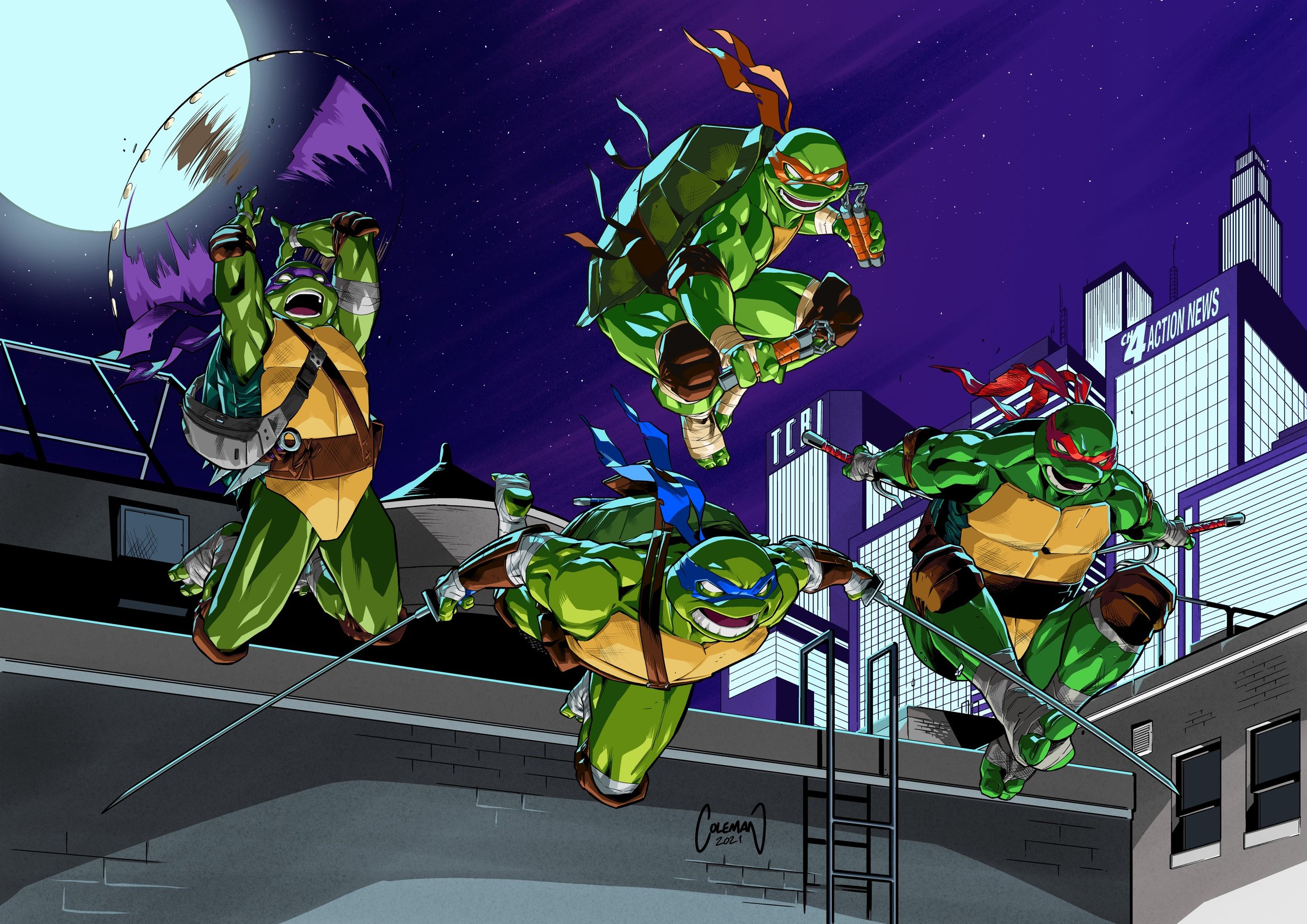 Ninja Turtle Designs