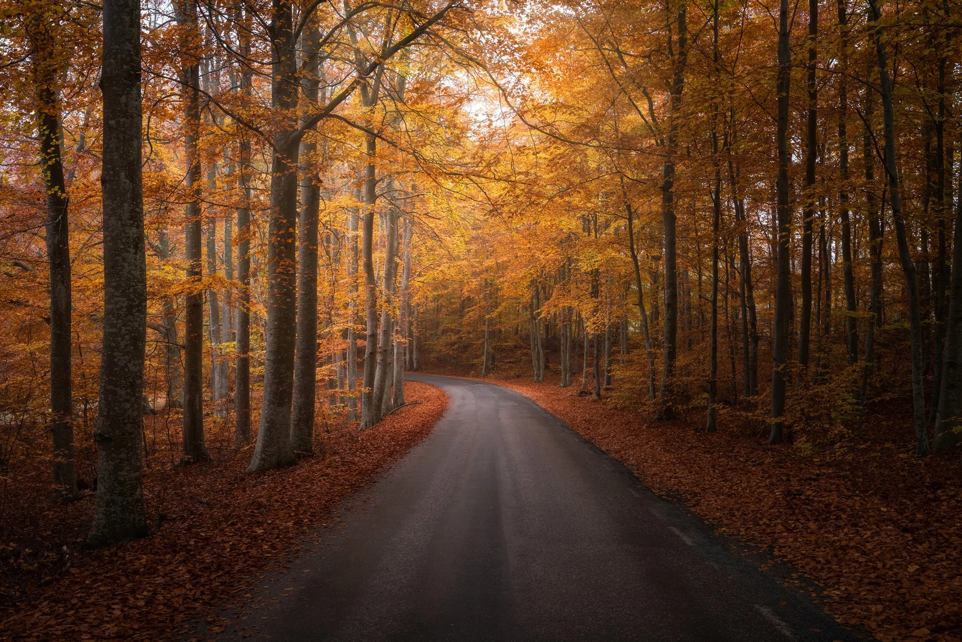 Philip Slotte Photography