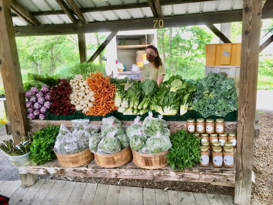Farmers Market Stand