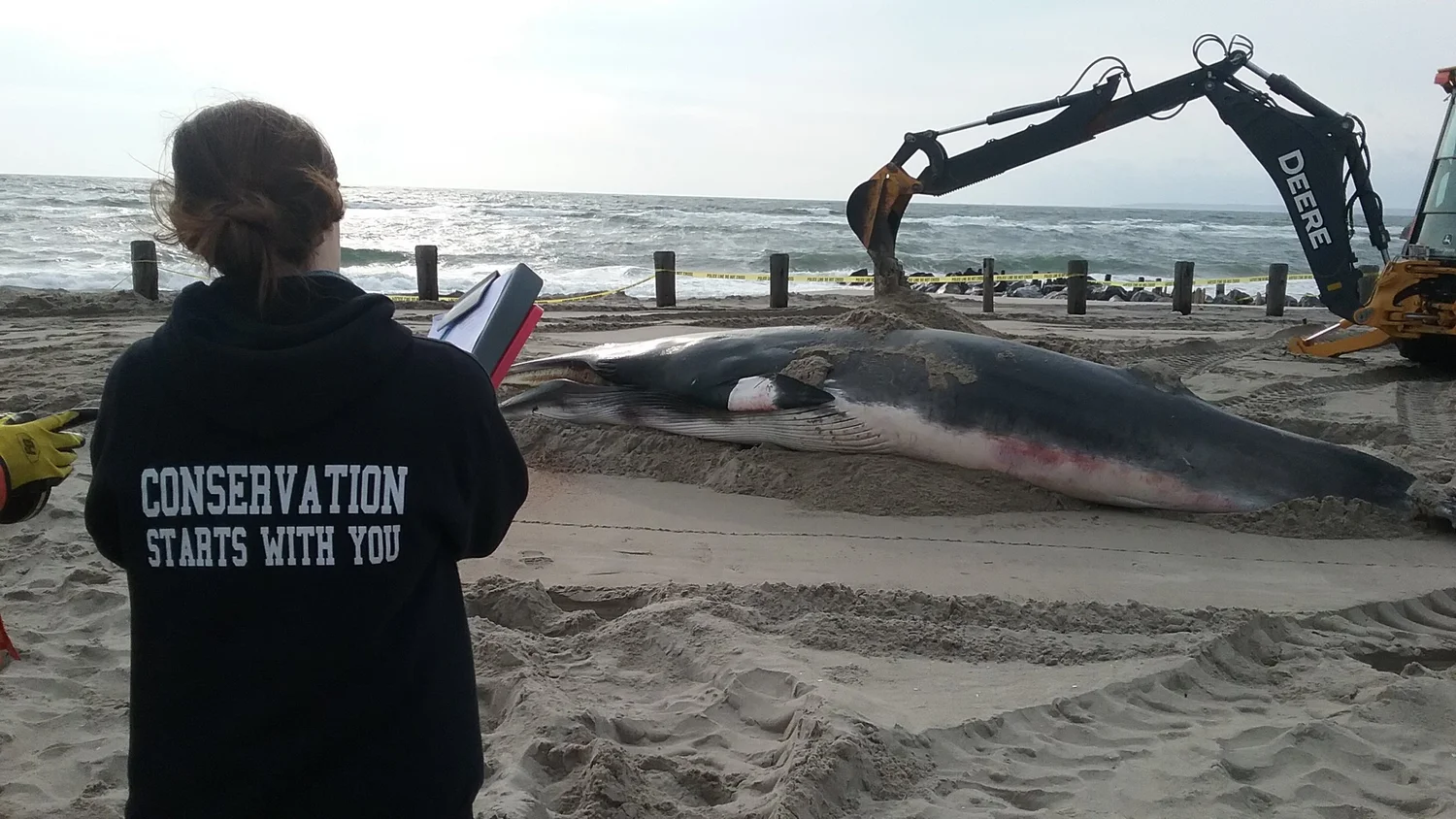 NOAA Fisheries: Atlantic Marine Conservation Society Joins NOAA’s ...