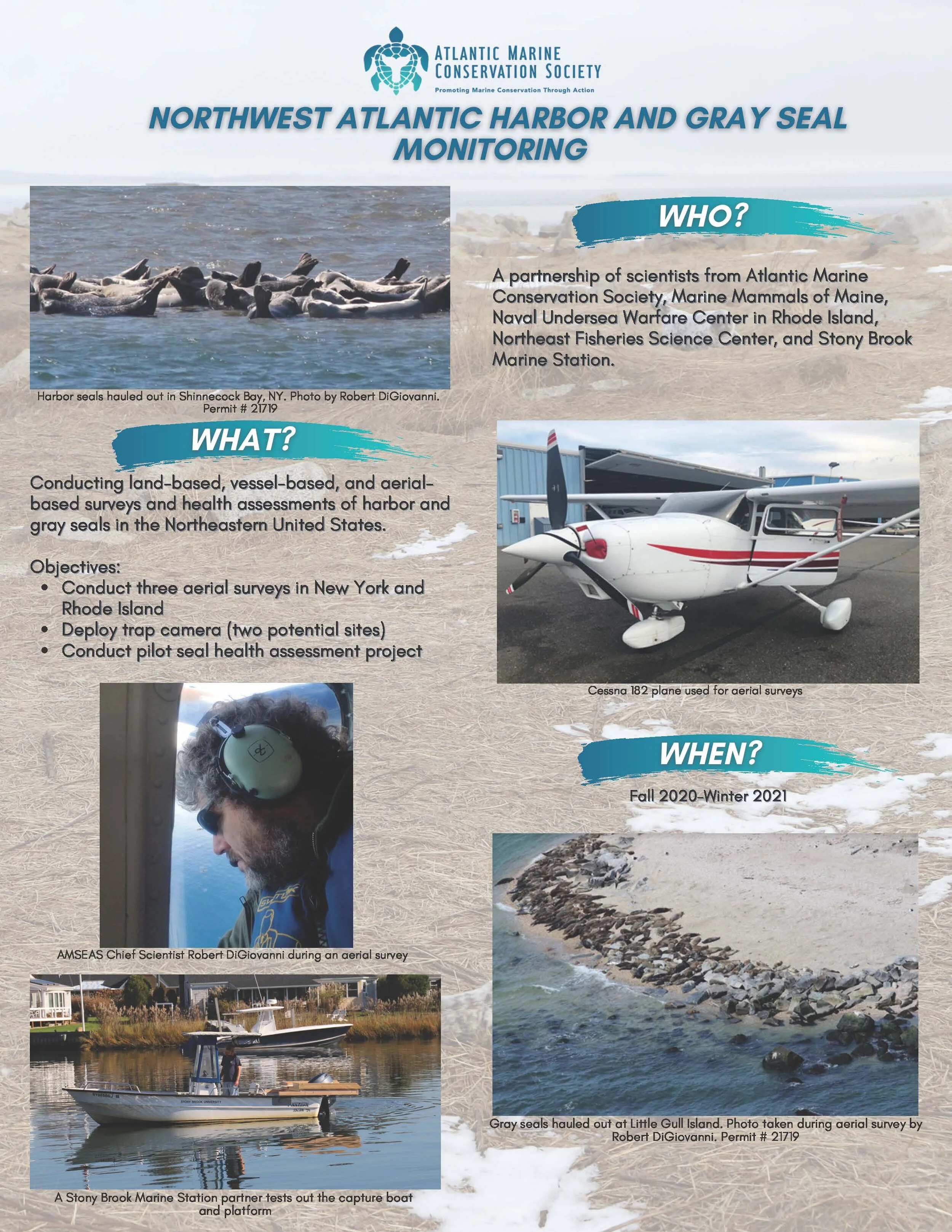 Harbor and Gray Seal Surveys — Atlantic Marine Conservation Society