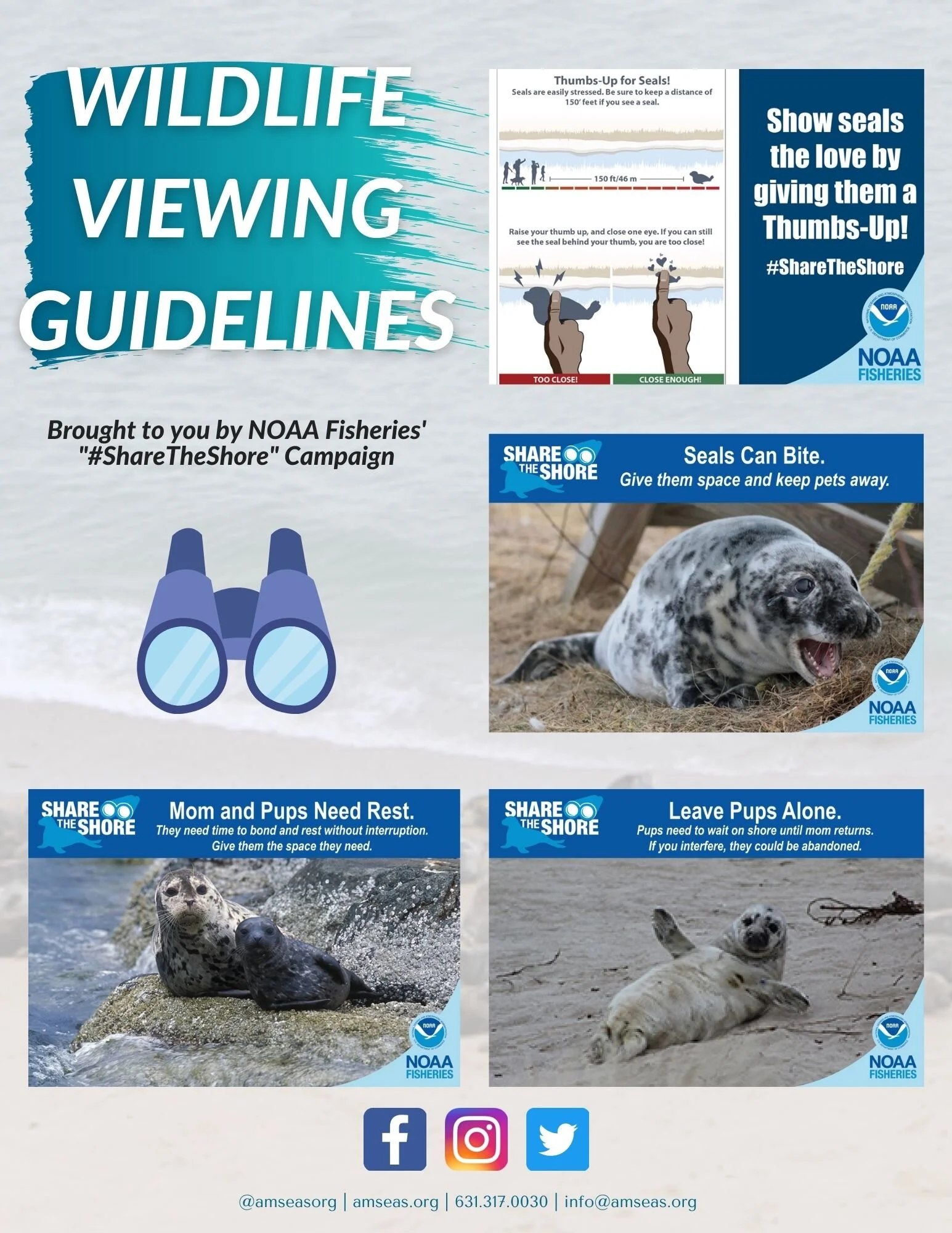 Report Marine Animal Sightings — Atlantic Marine Conservation Society