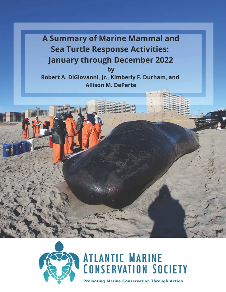 Stranding Response Summaries — Atlantic Marine Conservation Society