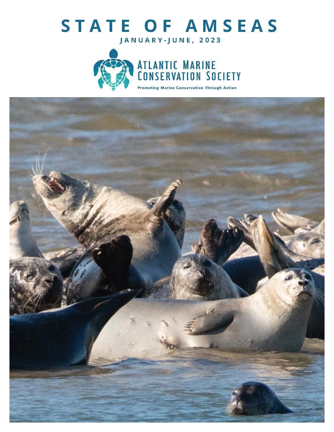 Newsletters — Atlantic Marine Conservation Society