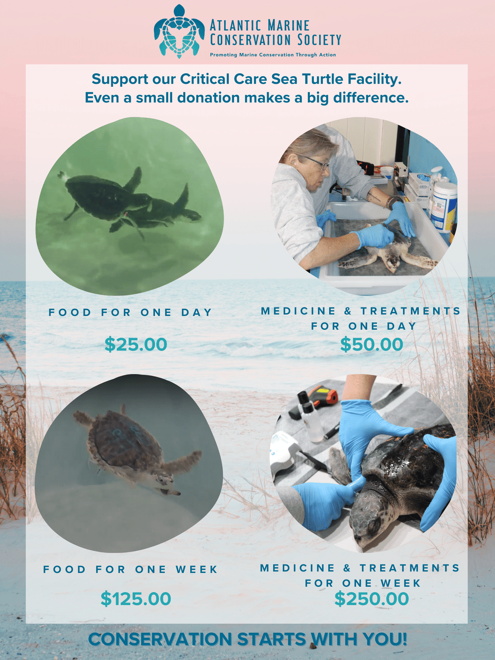 How You Can Help — Atlantic Marine Conservation Society